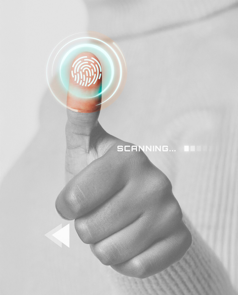 SERVICIOS CORPORATIVOS | EL ORDEÑO